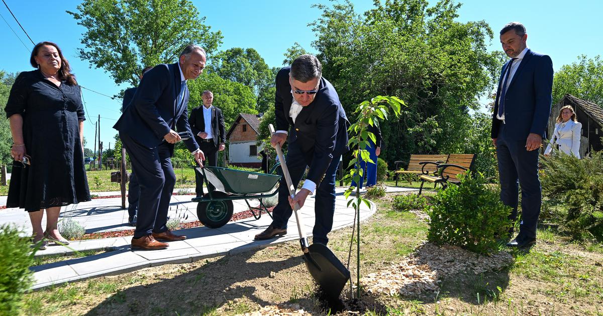 FOTO Milanović s lopatom u ruci: Zasadio je Stablo mira | Večernji.hr