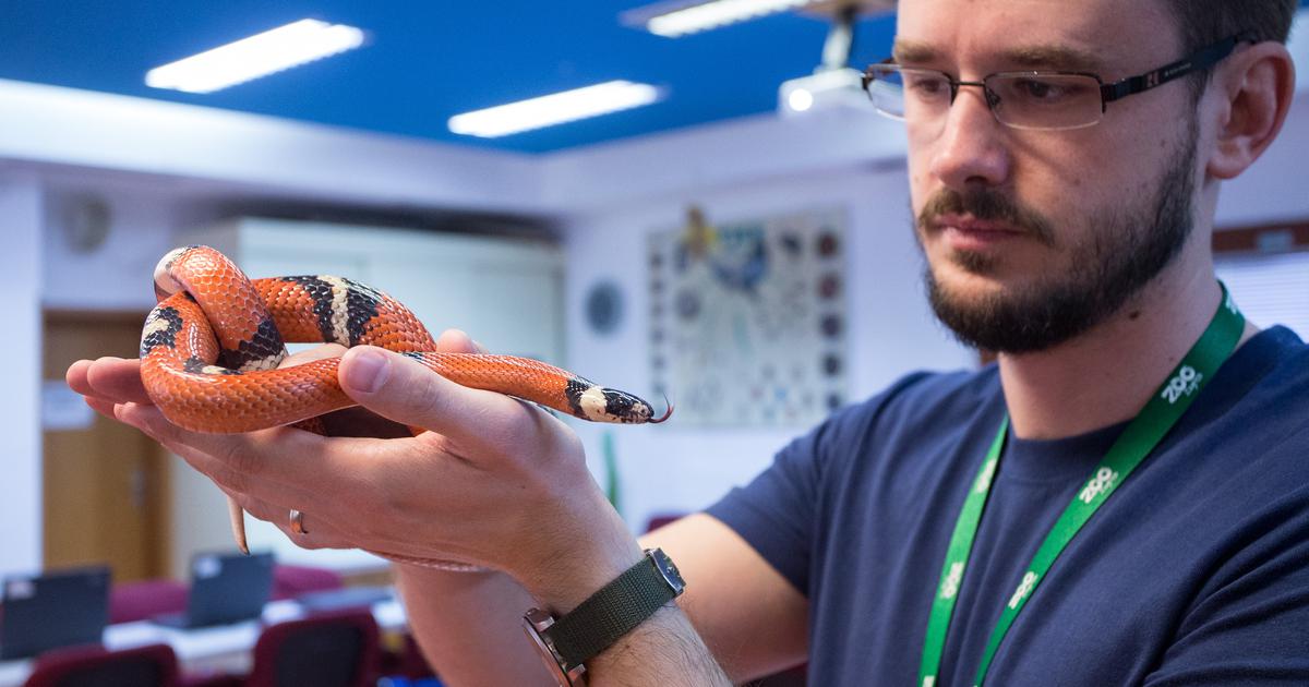 Mali istraživači, prijavite se: Divlje ljeto i ove godine održava se u ...