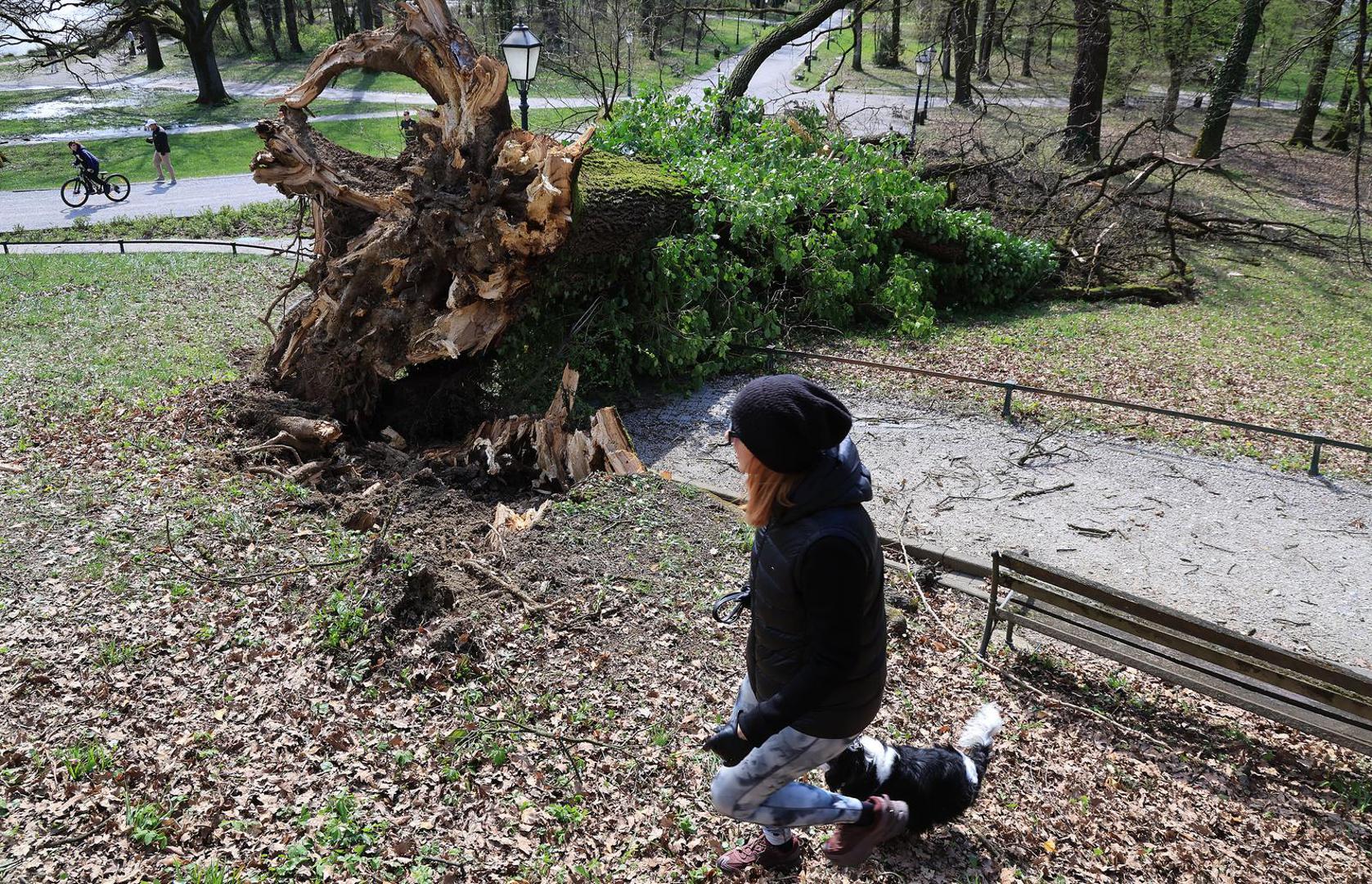 FOTO Pogledajte kako izgleda Maksimir nakon nevremena, vjetar napravio ...